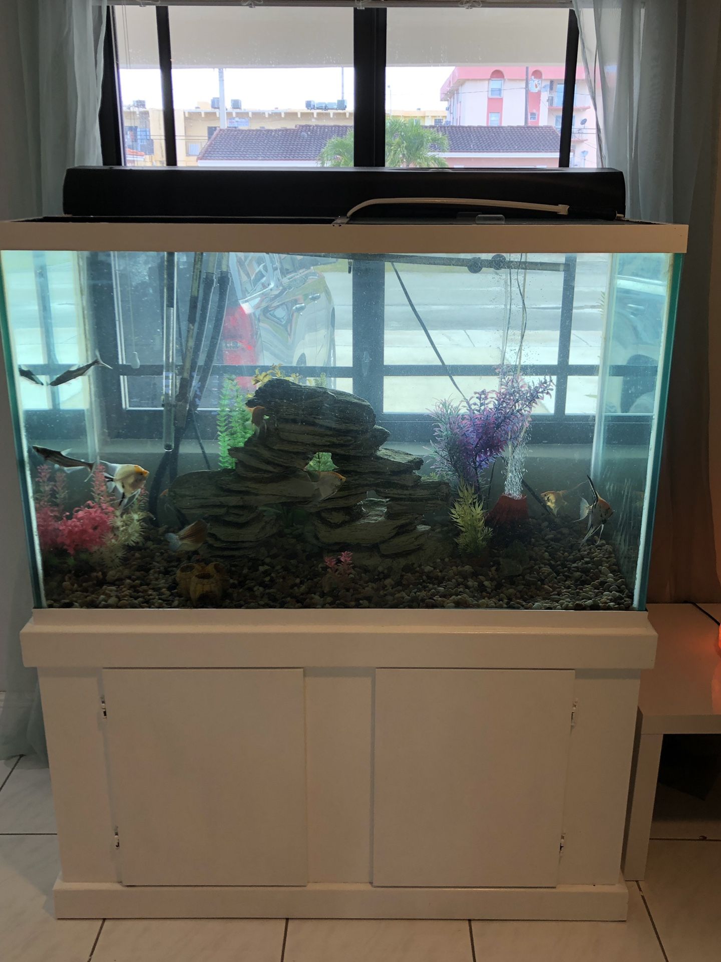 Beautiful *150 gallon FISH TANK & STAND* For Sale! for Sale in Miami ...