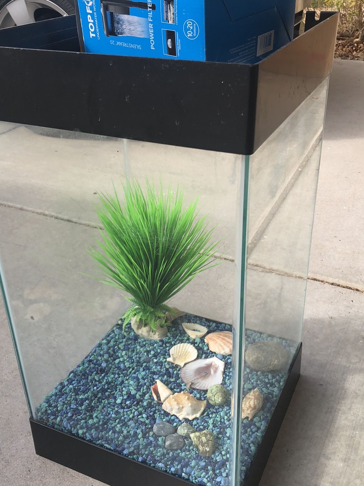 Beautiful 20 Gallon Vertical Fish Tank And Clean Filter That Works Well ...