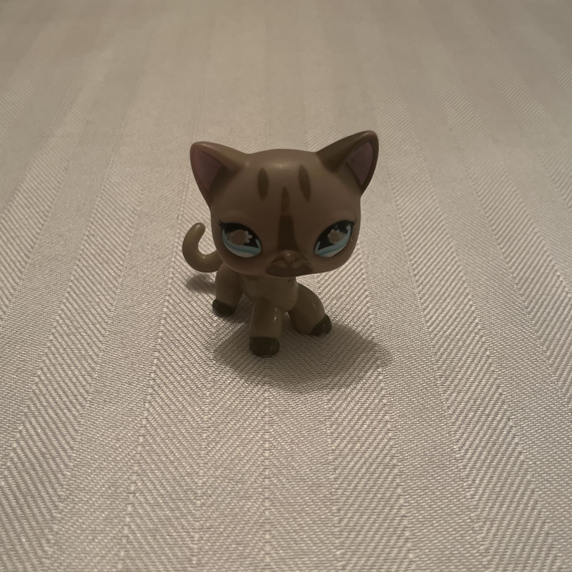 Grey LPS Shorthair Cat for Sale in Graham, WA - OfferUp