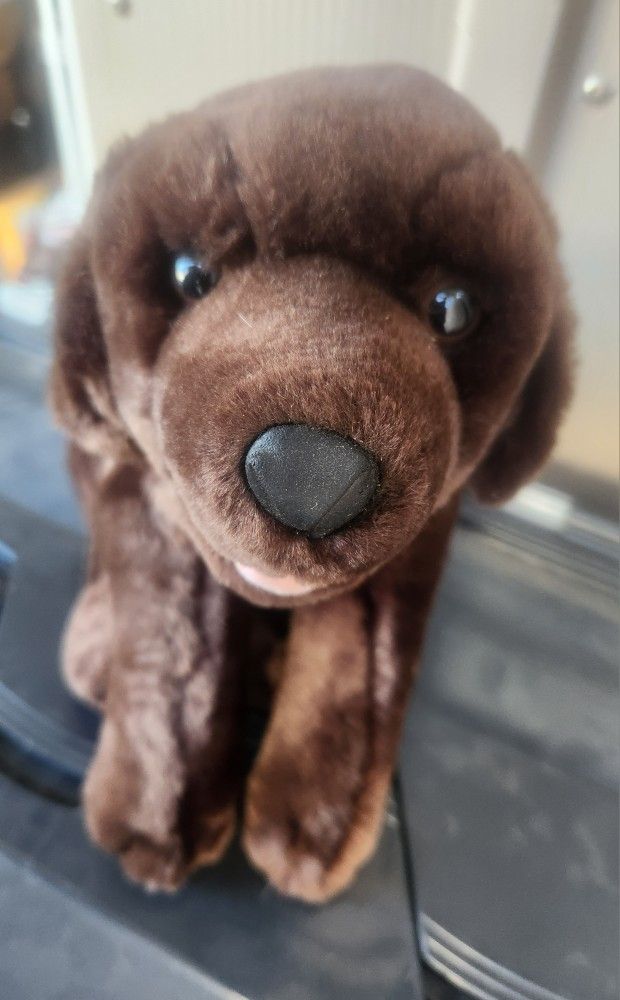 Soft Dog Plush for Sale in Phoenix, AZ - OfferUp