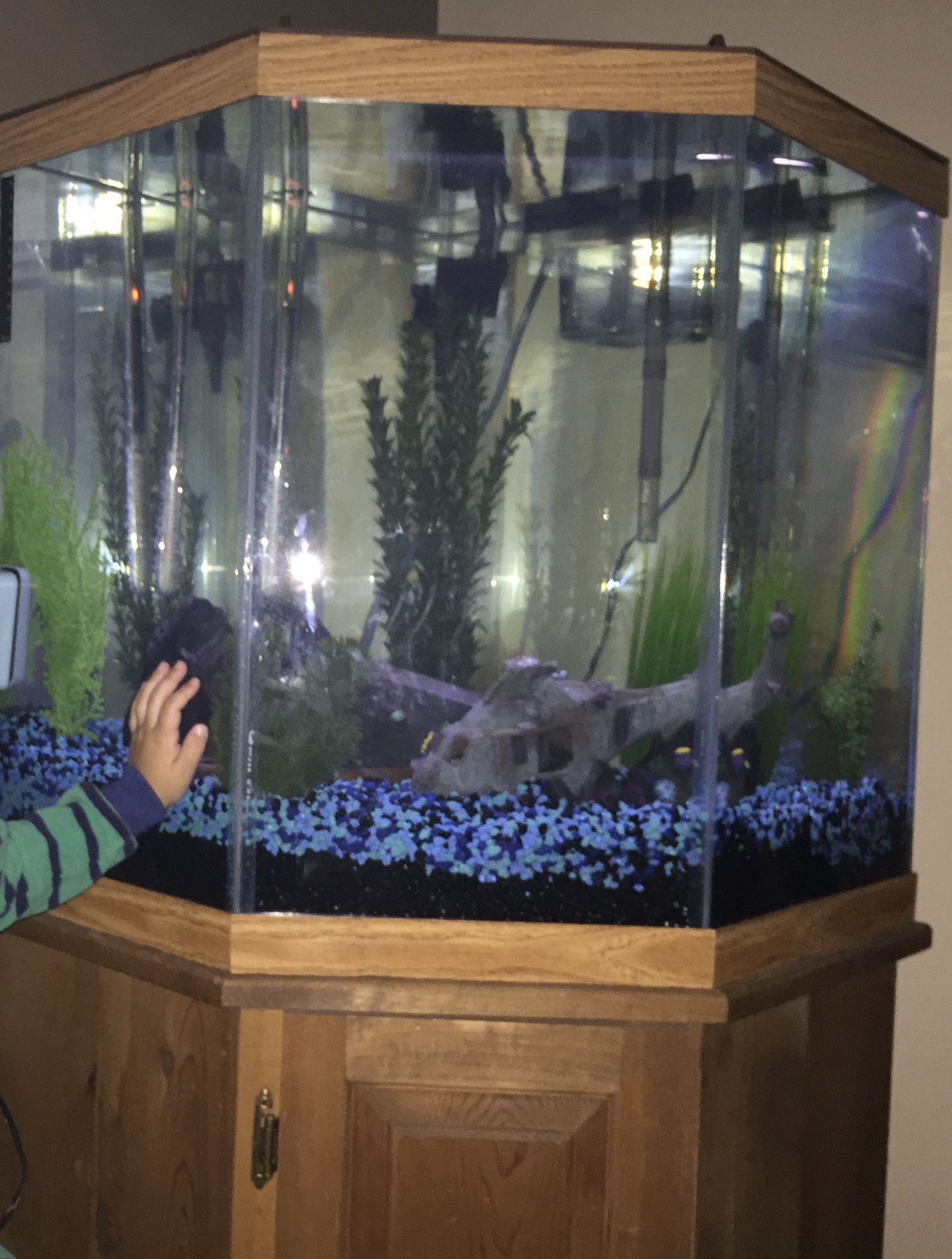 45 Gallon Corner Aquarium with Cabinet Base and Many Extras! for Sale ...