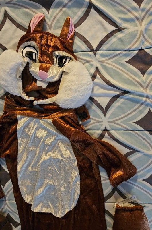 Infant Cheeky Chipmunk Costume for Sale in San Antonio, TX - OfferUp