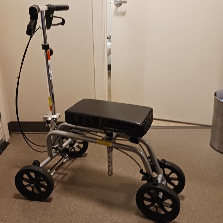 Walker Lake And Knee Walker Free Spirit Essentials 400 Lb Capacity Made ...