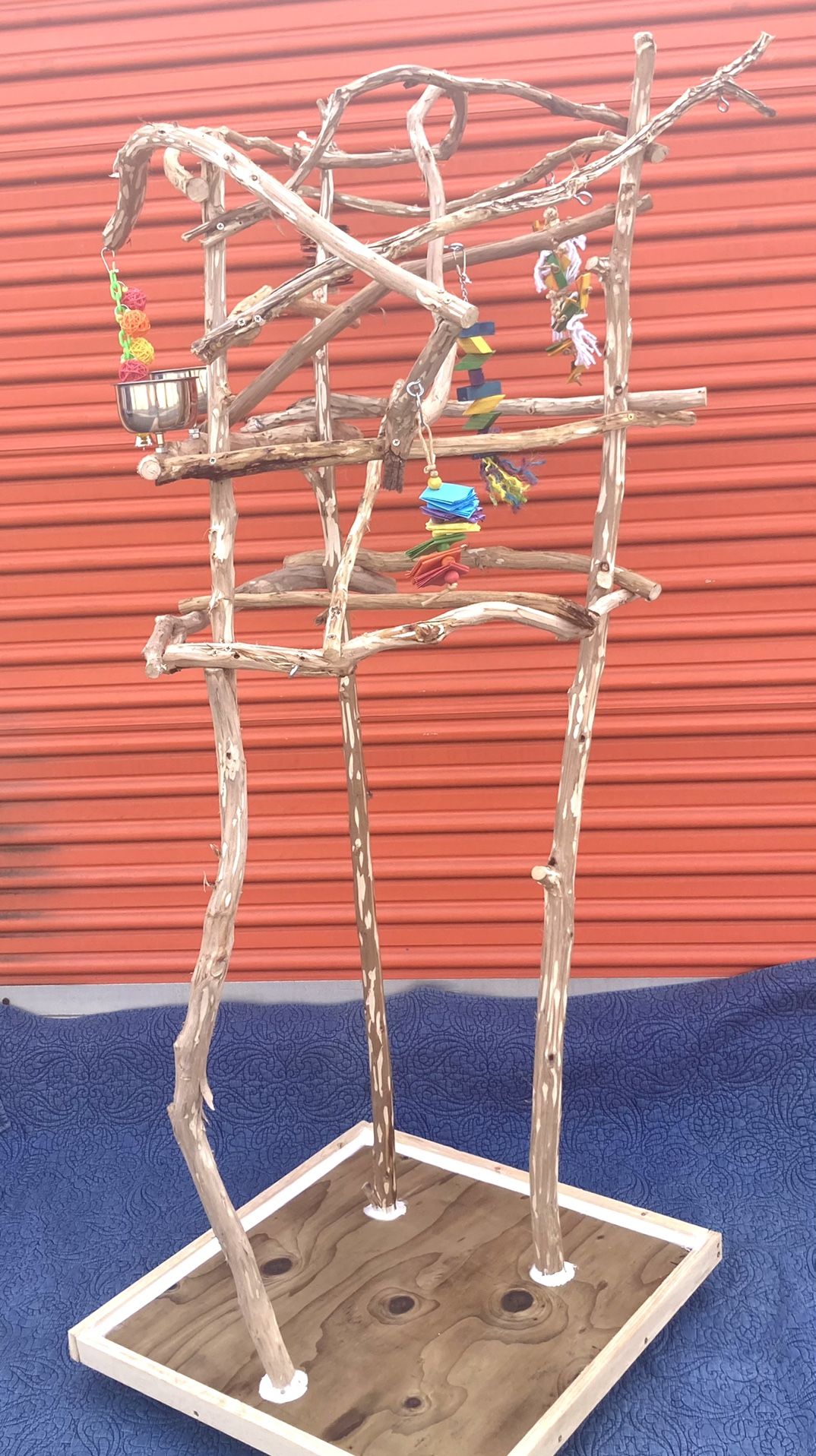 Funky Curvy African Grey / Amazon parrot Perch Tree !! Custom Made ...