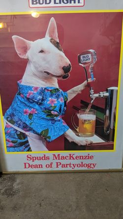 Spud Mckenzie Poster