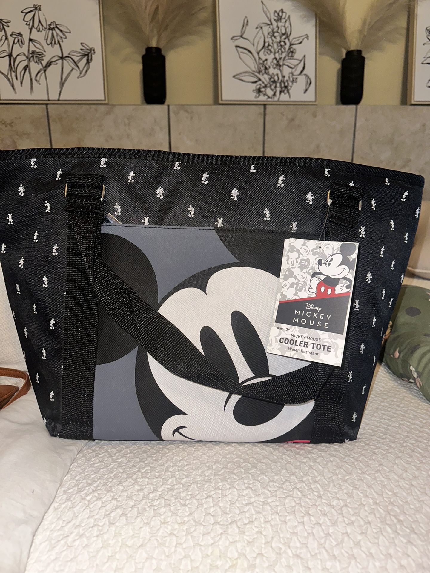 Mickey Cooler Tote. FOR FREE. for Sale in Pomona, CA - OfferUp