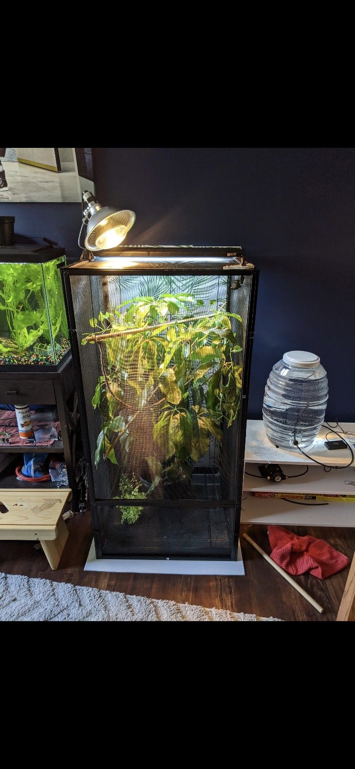 Pet Chameleon Tank