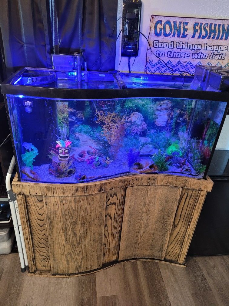 95 Gallon Wave Fish Tank for Sale in Everett, WA - OfferUp