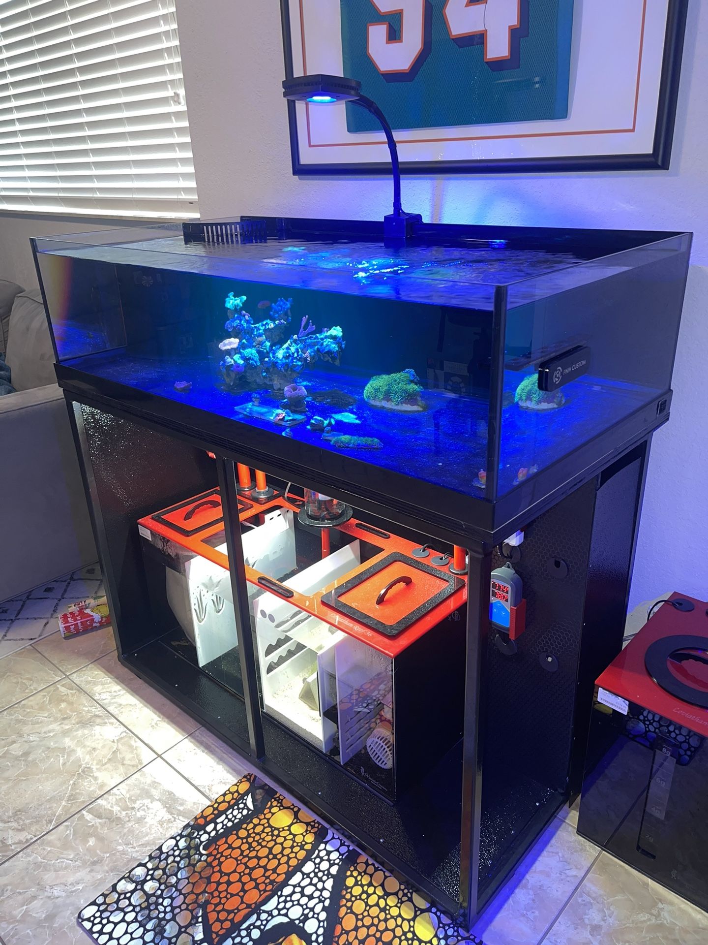 60 Gallon Rimless Aquarium Reef Tank for Sale in Oakland Park, FL - OfferUp