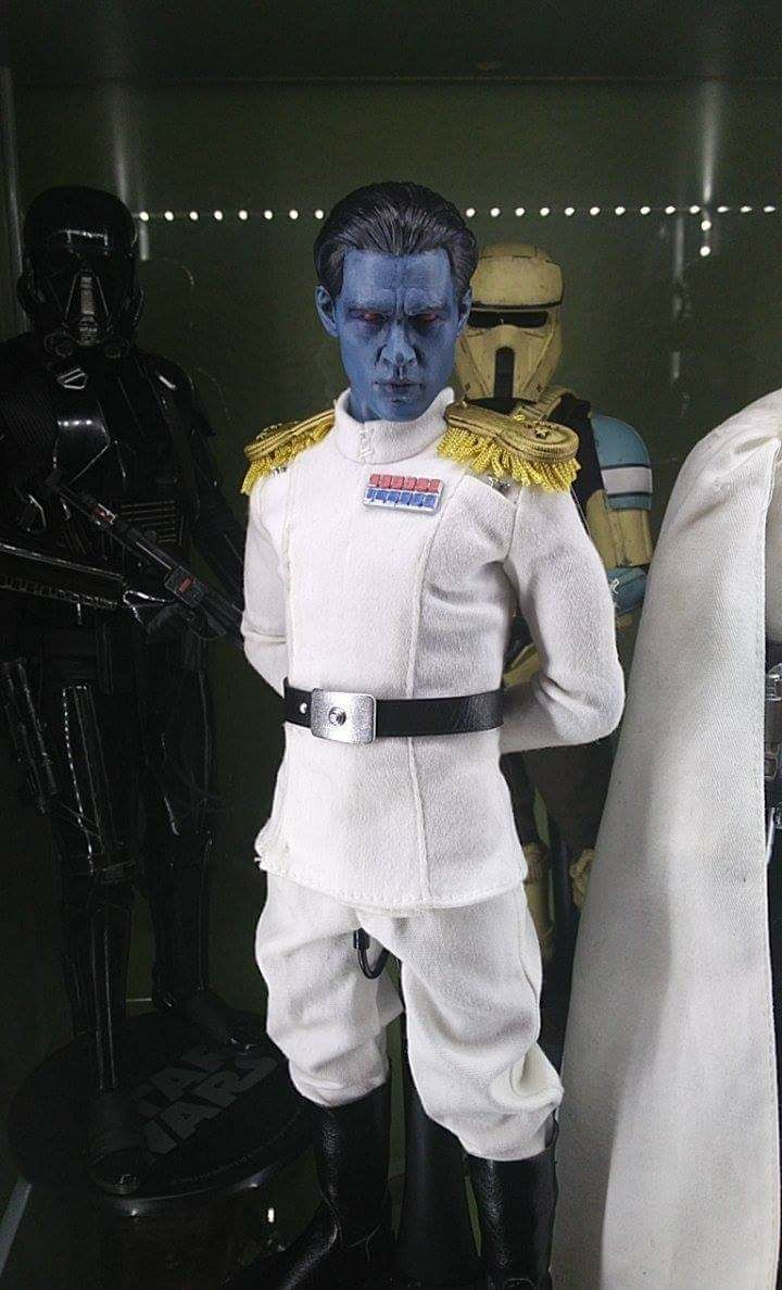 1/6 Grand Admiral Thrawn custom sideshow hot toys for Sale in Los ...