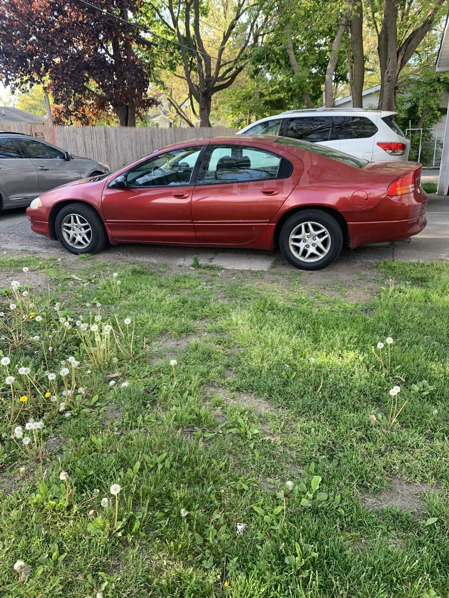 Intrepid For Sale - ZeBoats