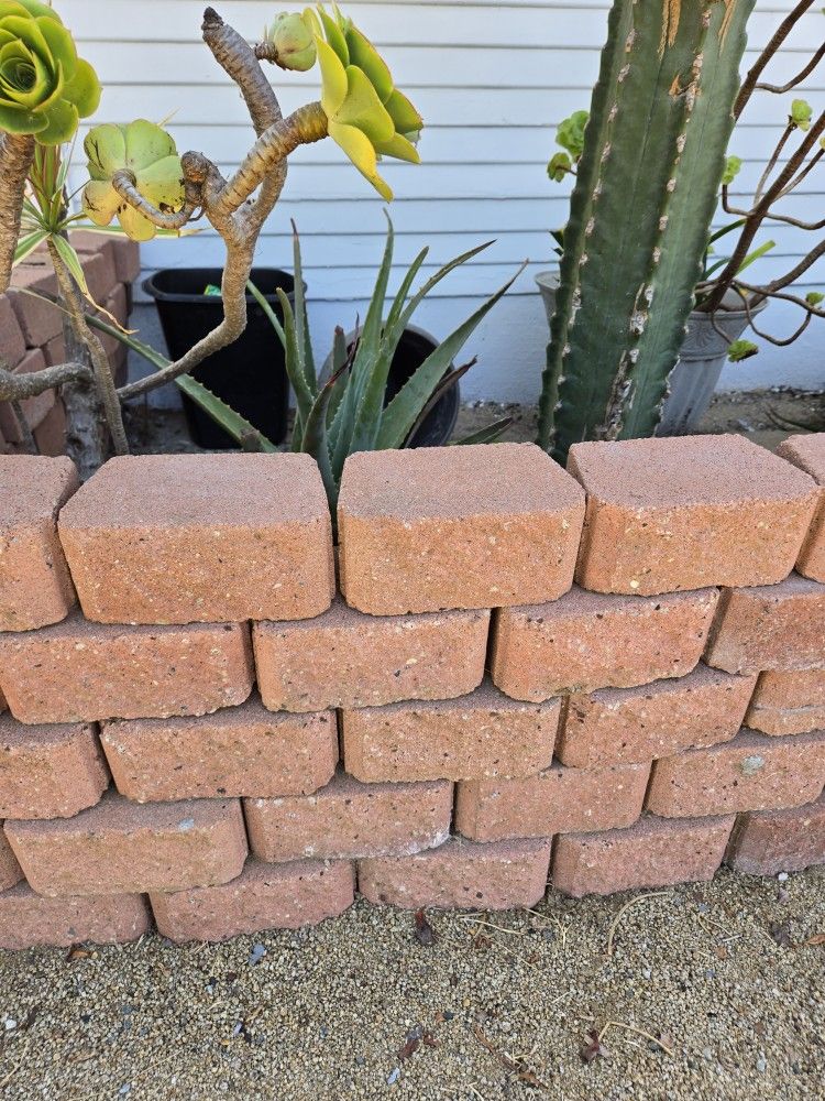 Bricks (100 bricks For $100. Dlls) for Sale in Chula Vista, CA - OfferUp