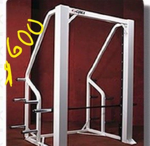 Commercial Cybex Smith Machine for Sale in Lower Merion Township, PA ...
