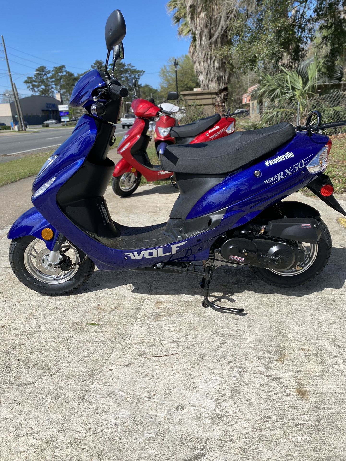 Brand New Blue 49cc Wolf RX50 at Scooterville for Sale in Tallahassee ...
