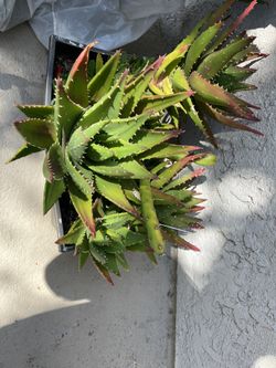 Pick Up Today As Soon As Possible for Sale in Corona, CA - OfferUp