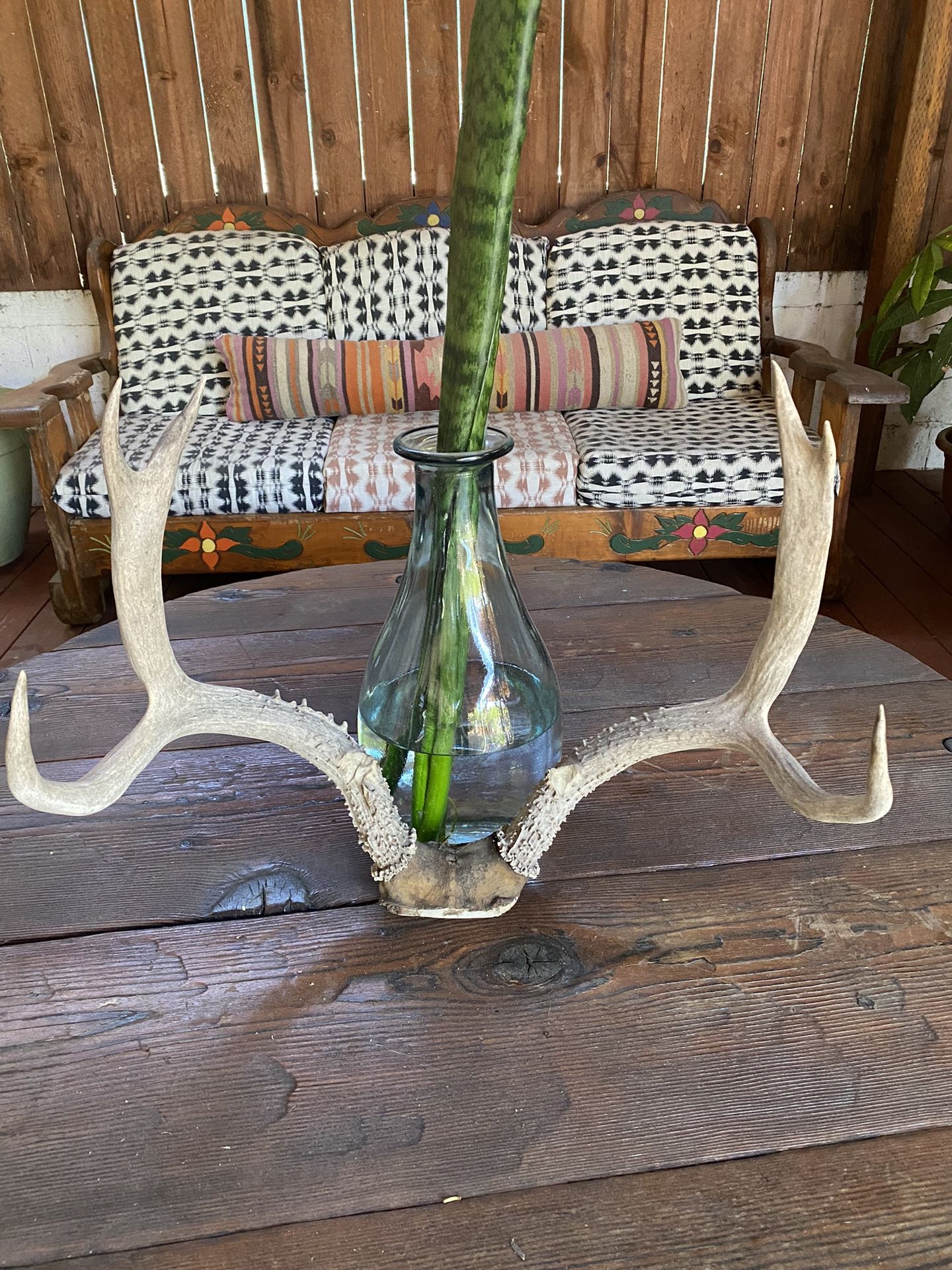 Deer Antlers Real Bone for Sale in Los Angeles, CA - OfferUp