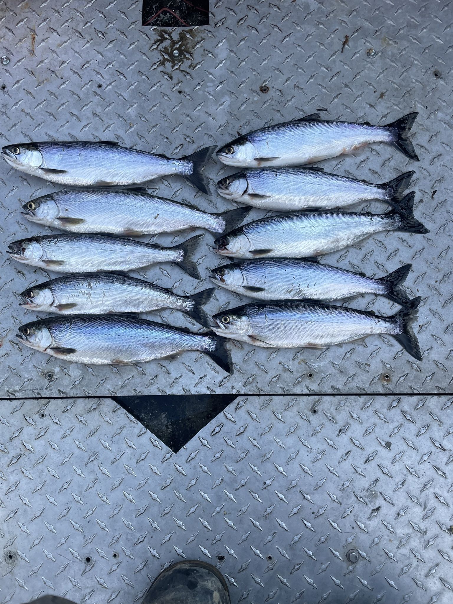 16’ Hewes Craft River Runner for Sale in Arlington, WA - OfferUp