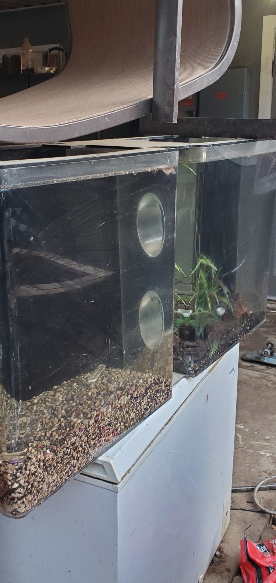 Double fish tank plexiglass aquarium for Sale in Bakersfield, CA - OfferUp