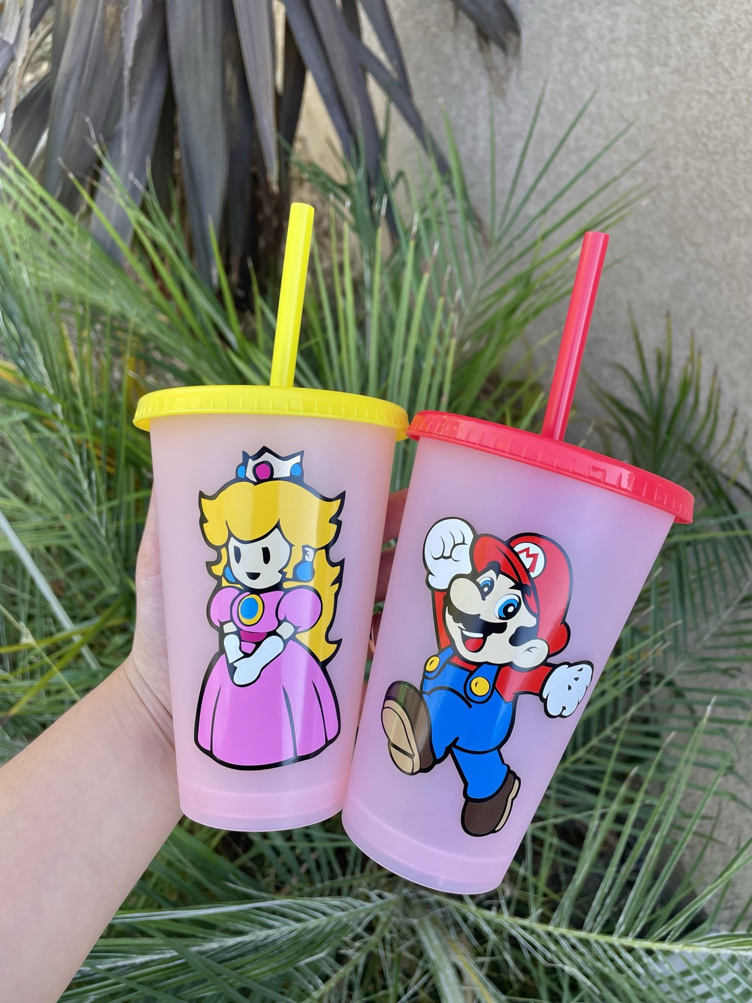 Mario And Peach Kids