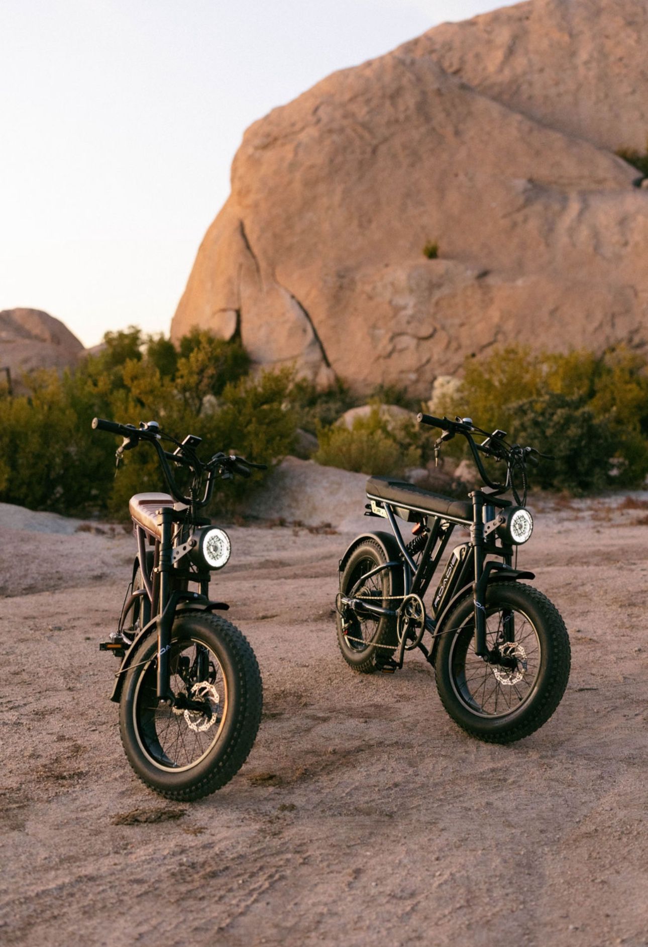 ROADIE BIKE CO!!! Premium E-bikes - Great Budget for Sale in Queen ...