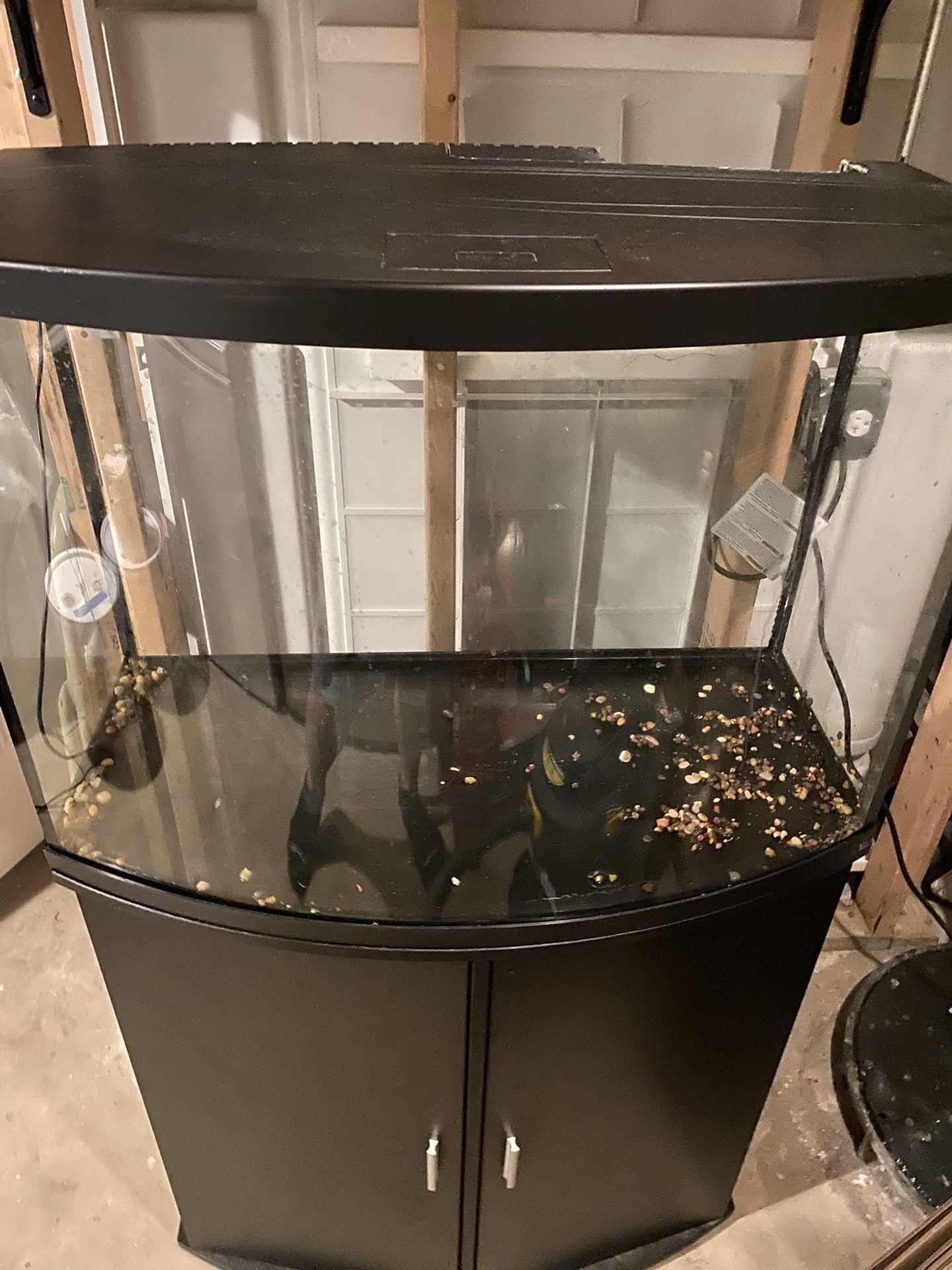 Bow Front Fish Tank With Stand 36 Gal for Sale in Oswego, IL - OfferUp