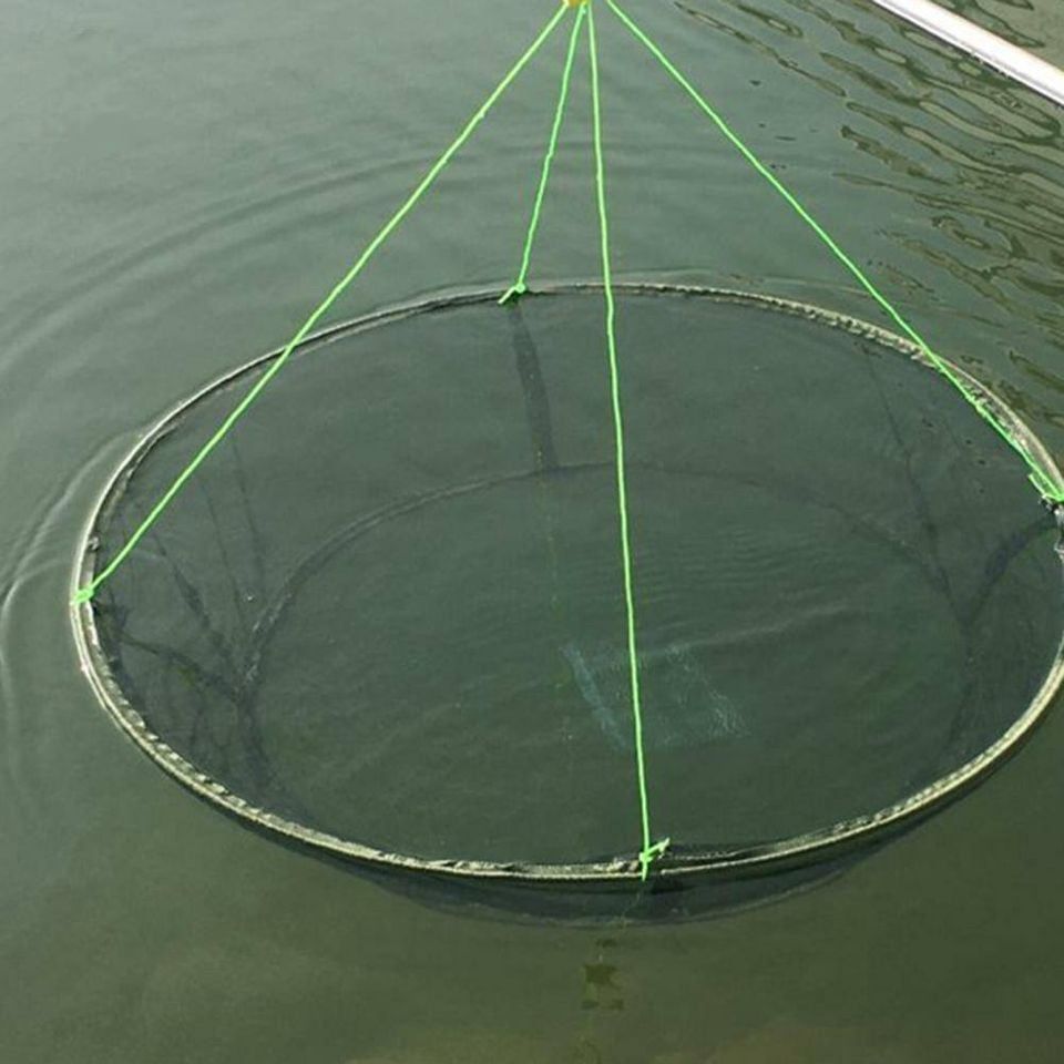 33 Inch Fishing Bait Trap Crab Net Shrimp Cast Dip Cage Fish Minnow ...