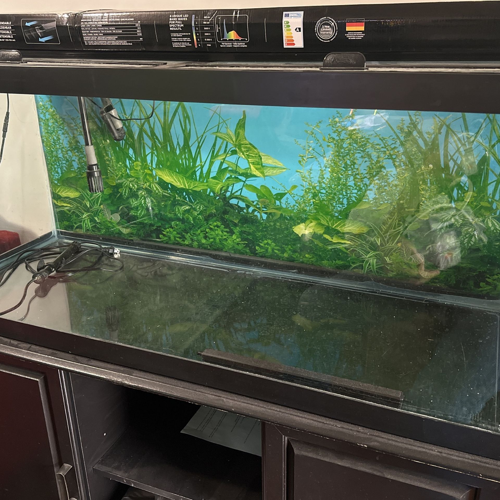 75 Gallon Fish Tank Complete Setup for Sale in Whittier, CA - OfferUp
