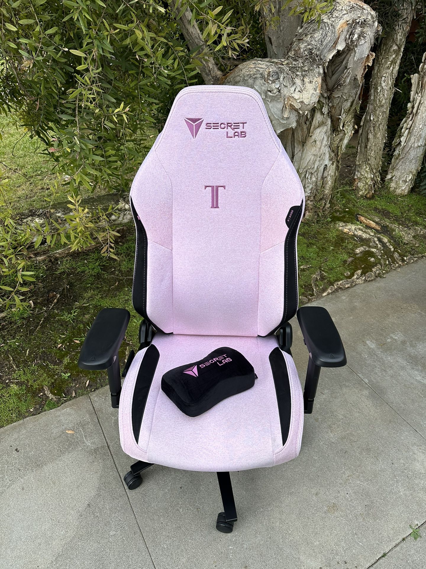 Secret Lab Titan EVO Pink Gaming Chair + Magnetic Pillow (office chair ...