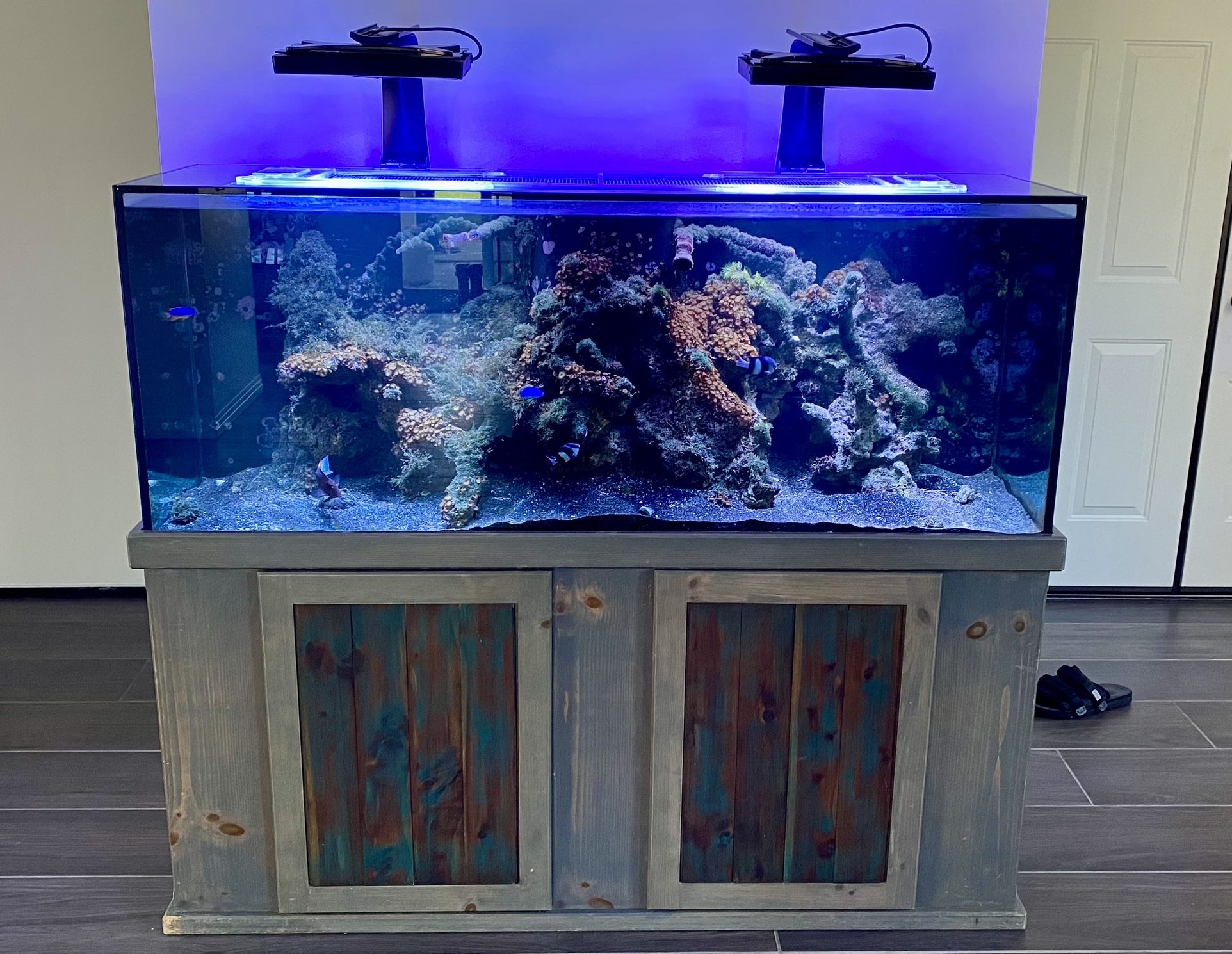 Aquarium 125 Gallons Star Fire Glass for Sale in Santa Clarita, CA ...