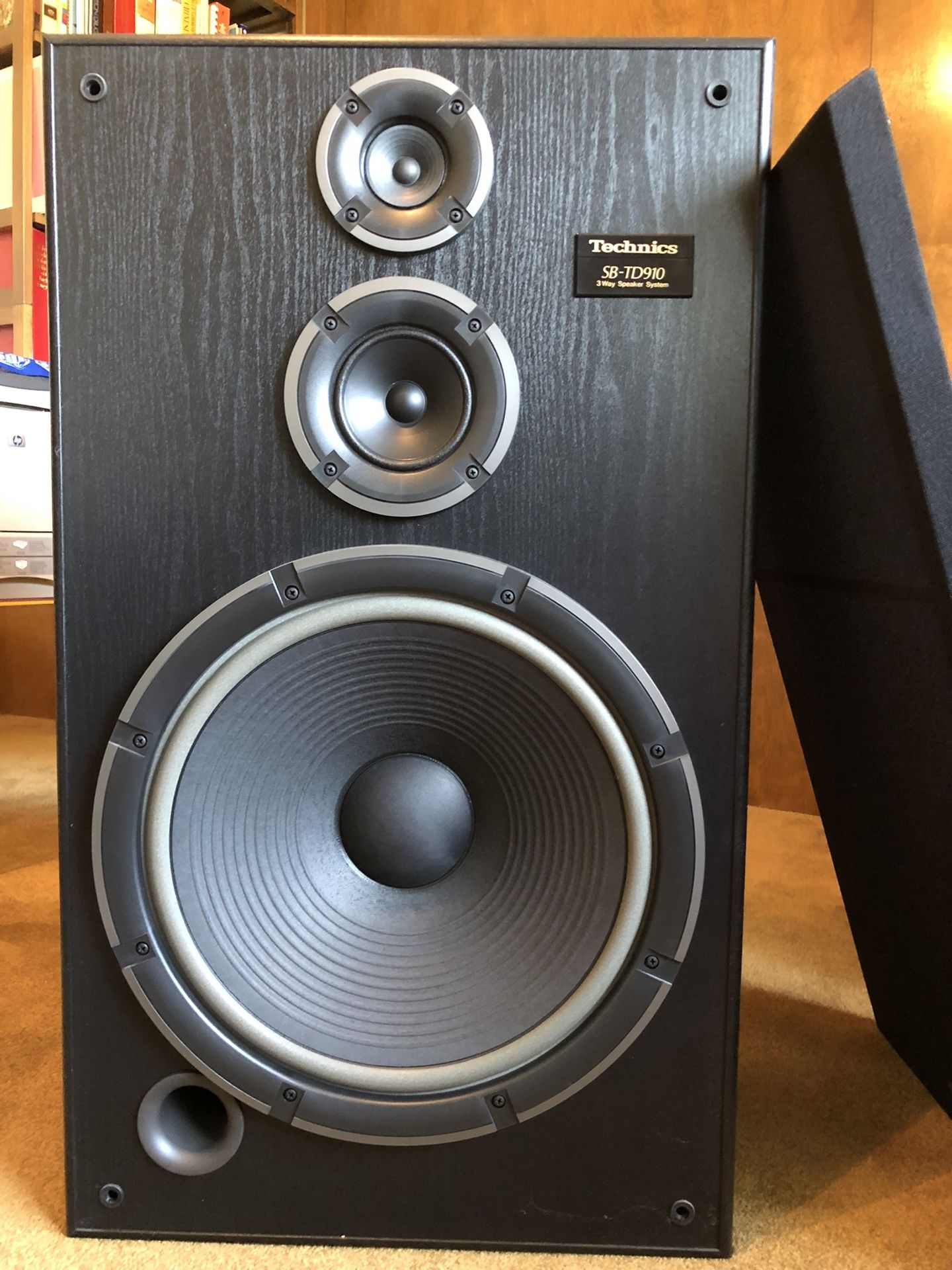 Technics 3 Way Speakers