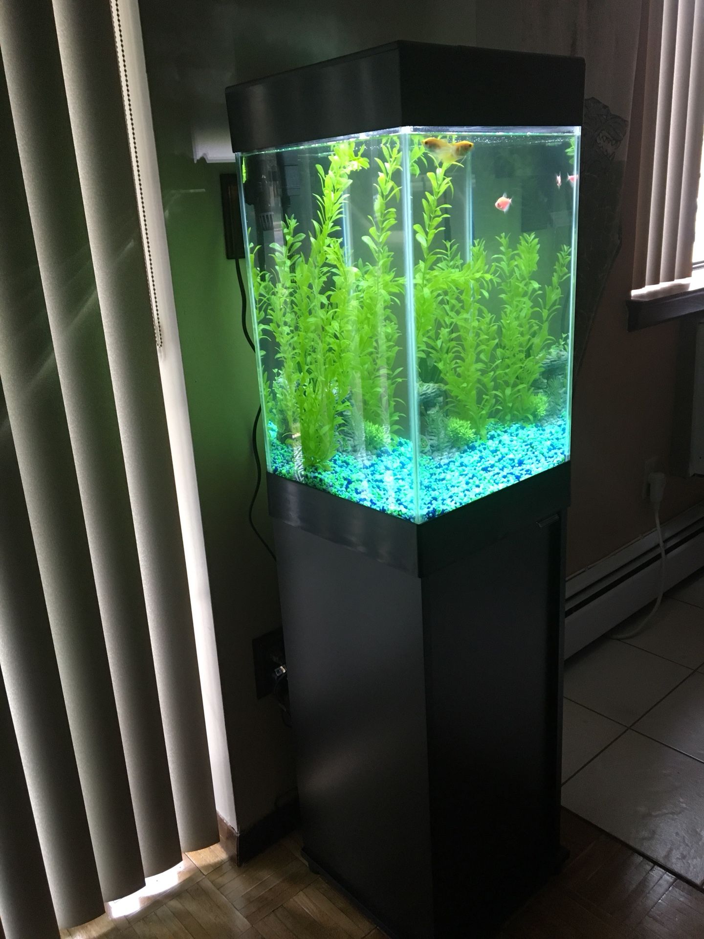 15 gallon column aquarium with stand for Sale in Staten Island, NY ...