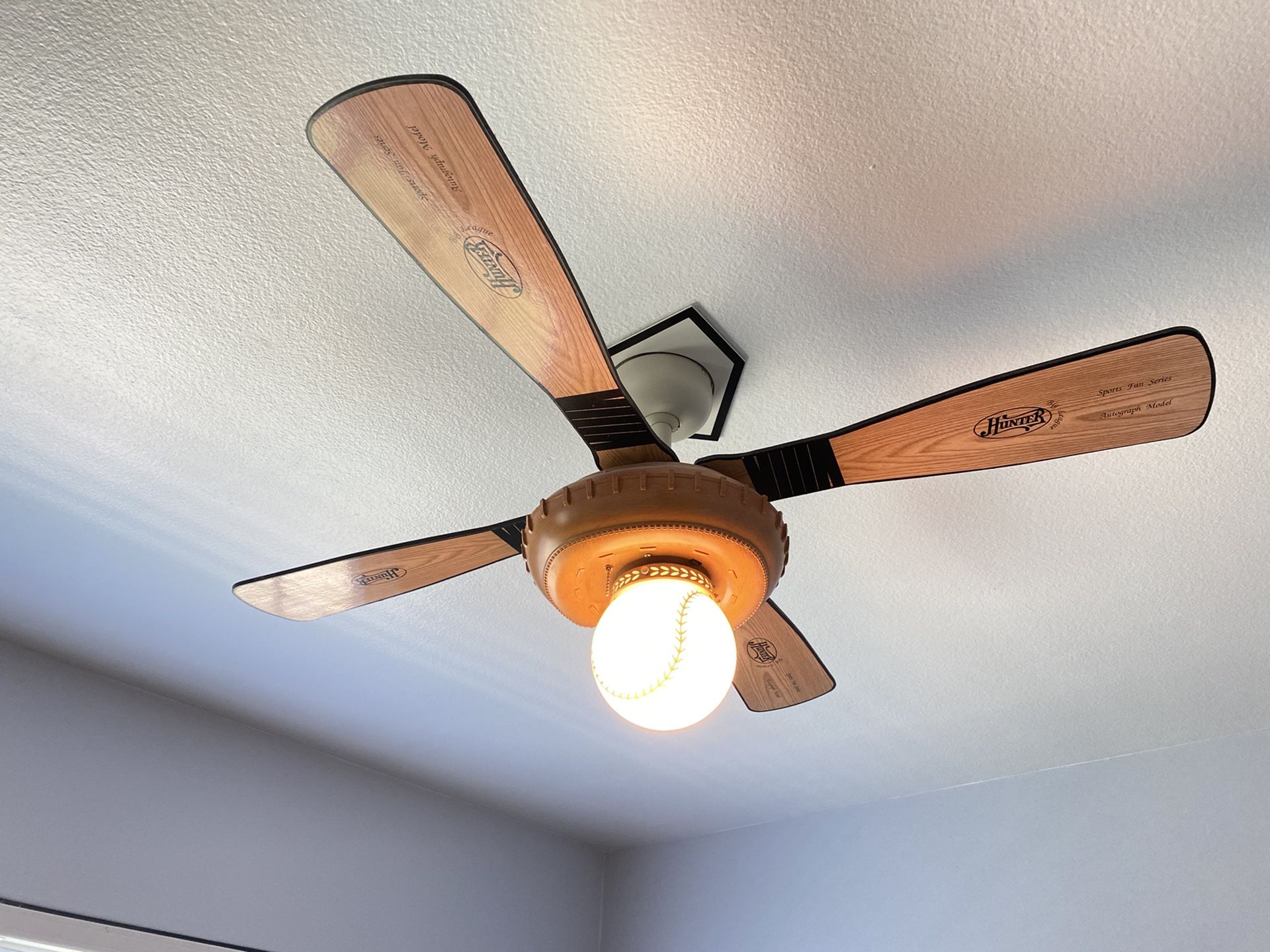 Hunter Baseball Fan Ceiling Model 23252 | Shelly Lighting