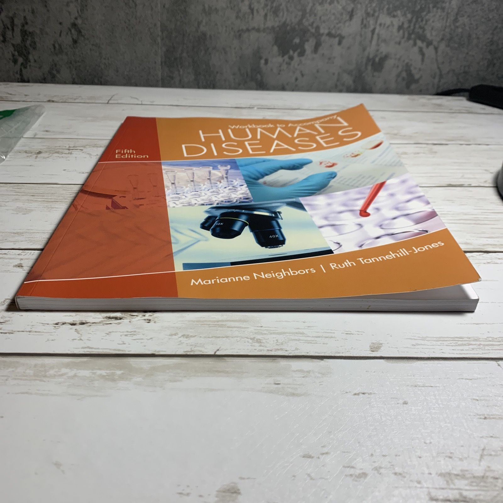 Student Workbook For Neighbors Tannehill Jones Human Diseases 5th By 