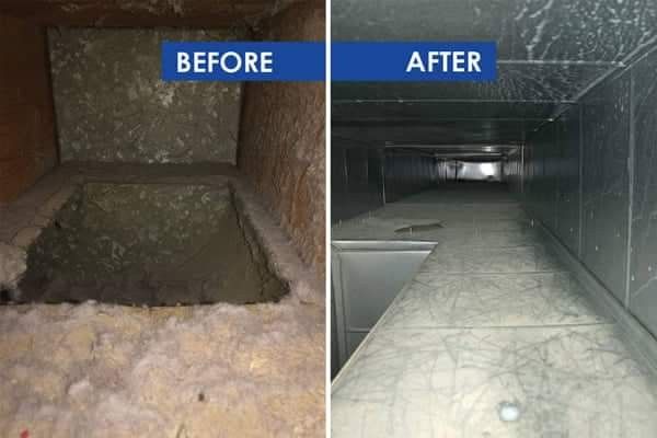 Clean Up Your Messy System Breath Fresh Air/Environment for Sale in ...