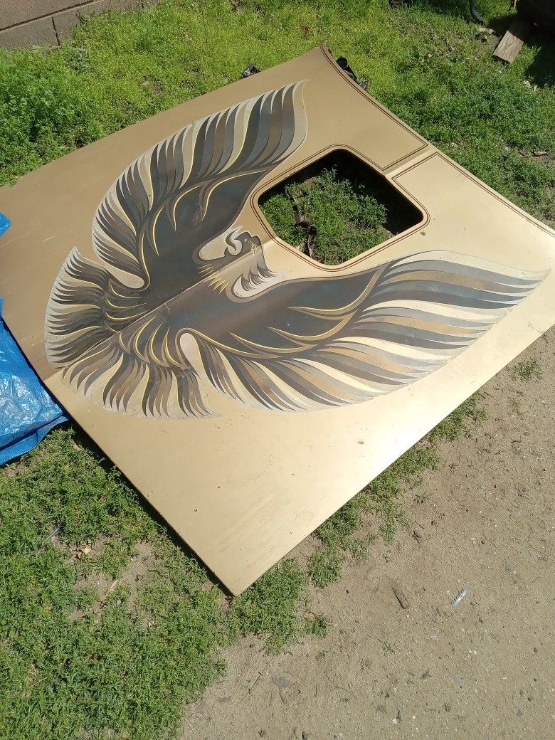 1978 Pontiac Trans Am Hood And Shaker With Air Cleaner for Sale in City ...
