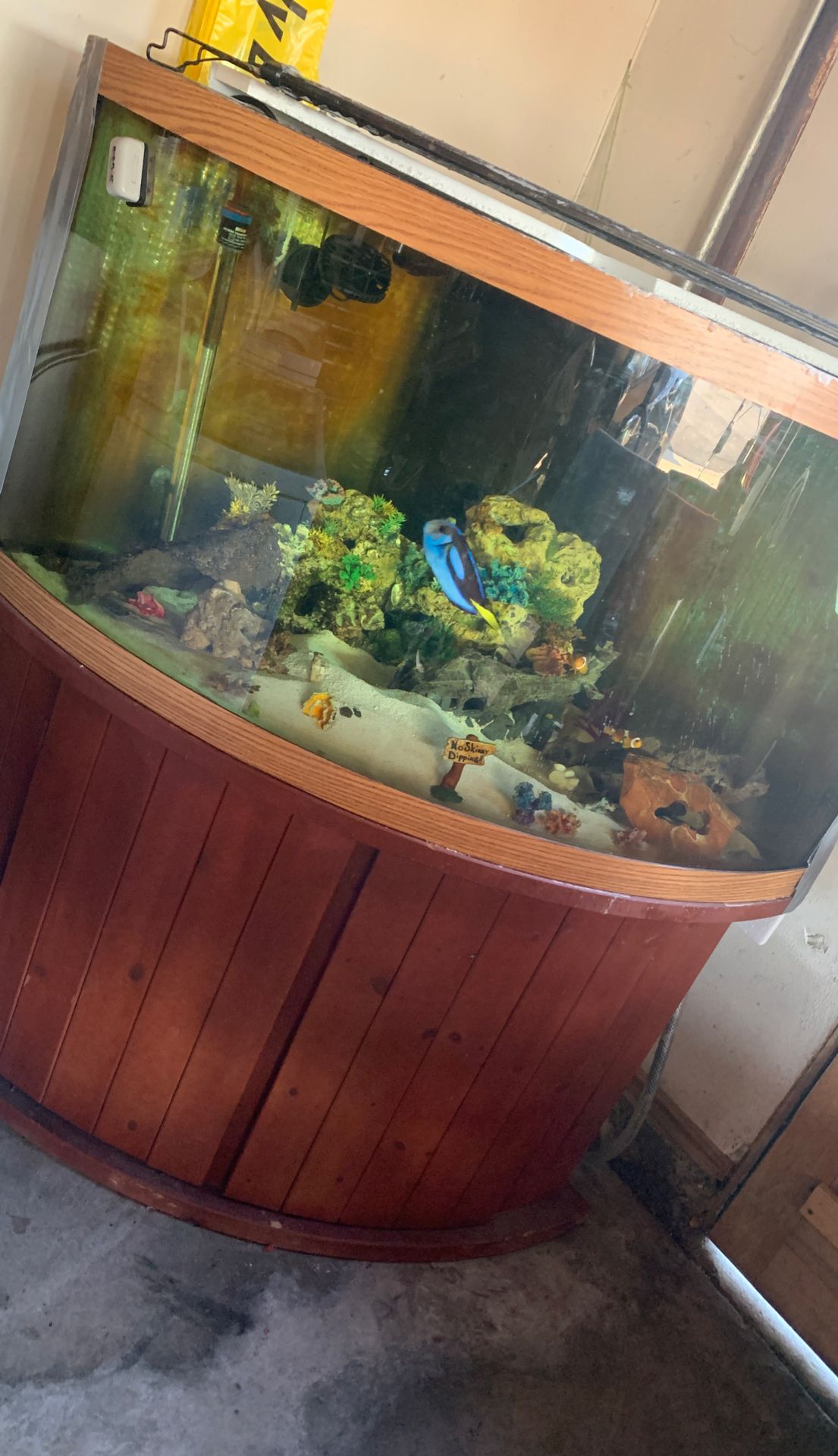 100 gal fish tank. Corner style, Bow front. for Sale in Antioch, CA ...