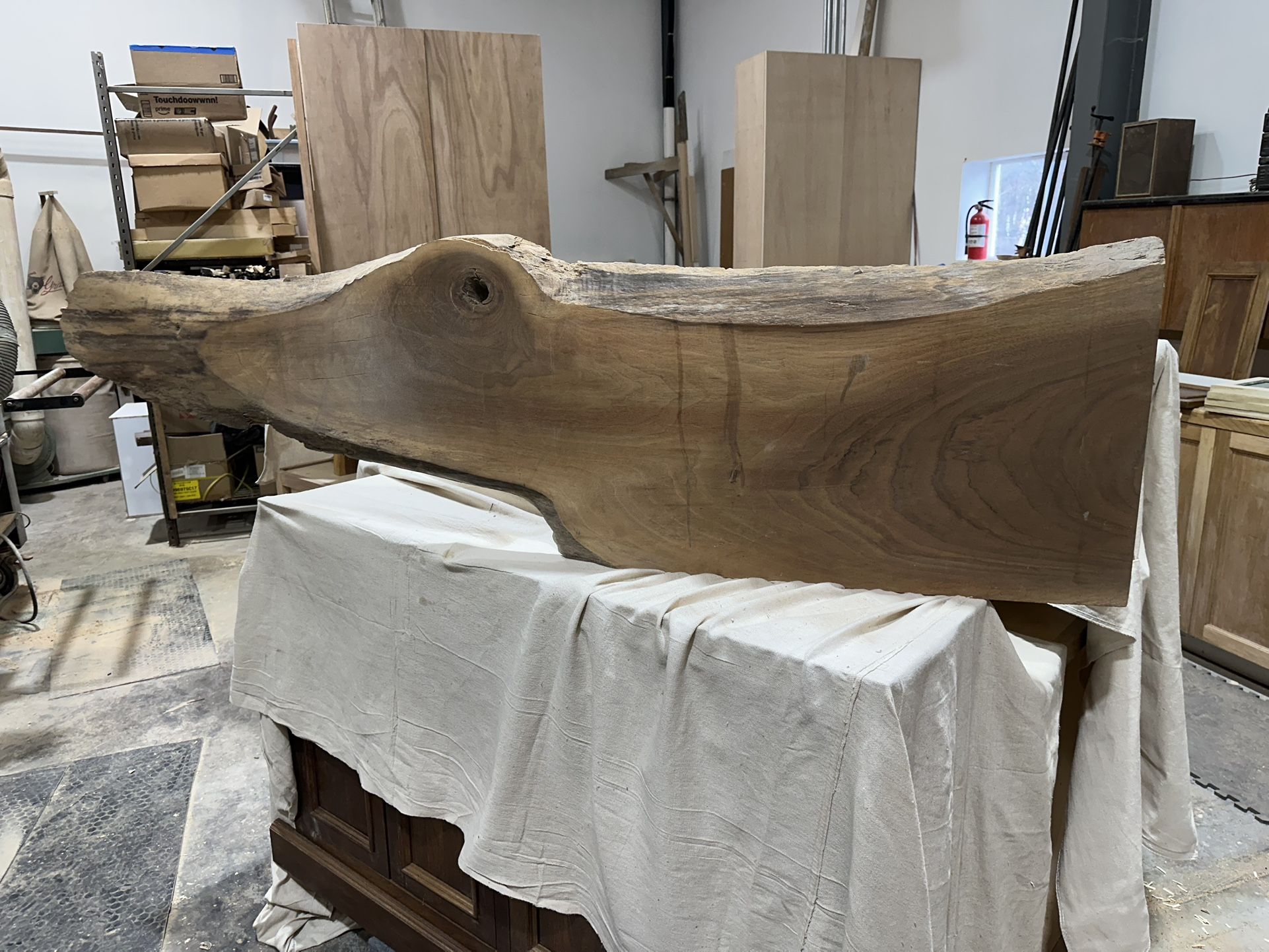 Alligator Shaped, Live Edge Black Walnut Slab for Sale in New Fairfield ...