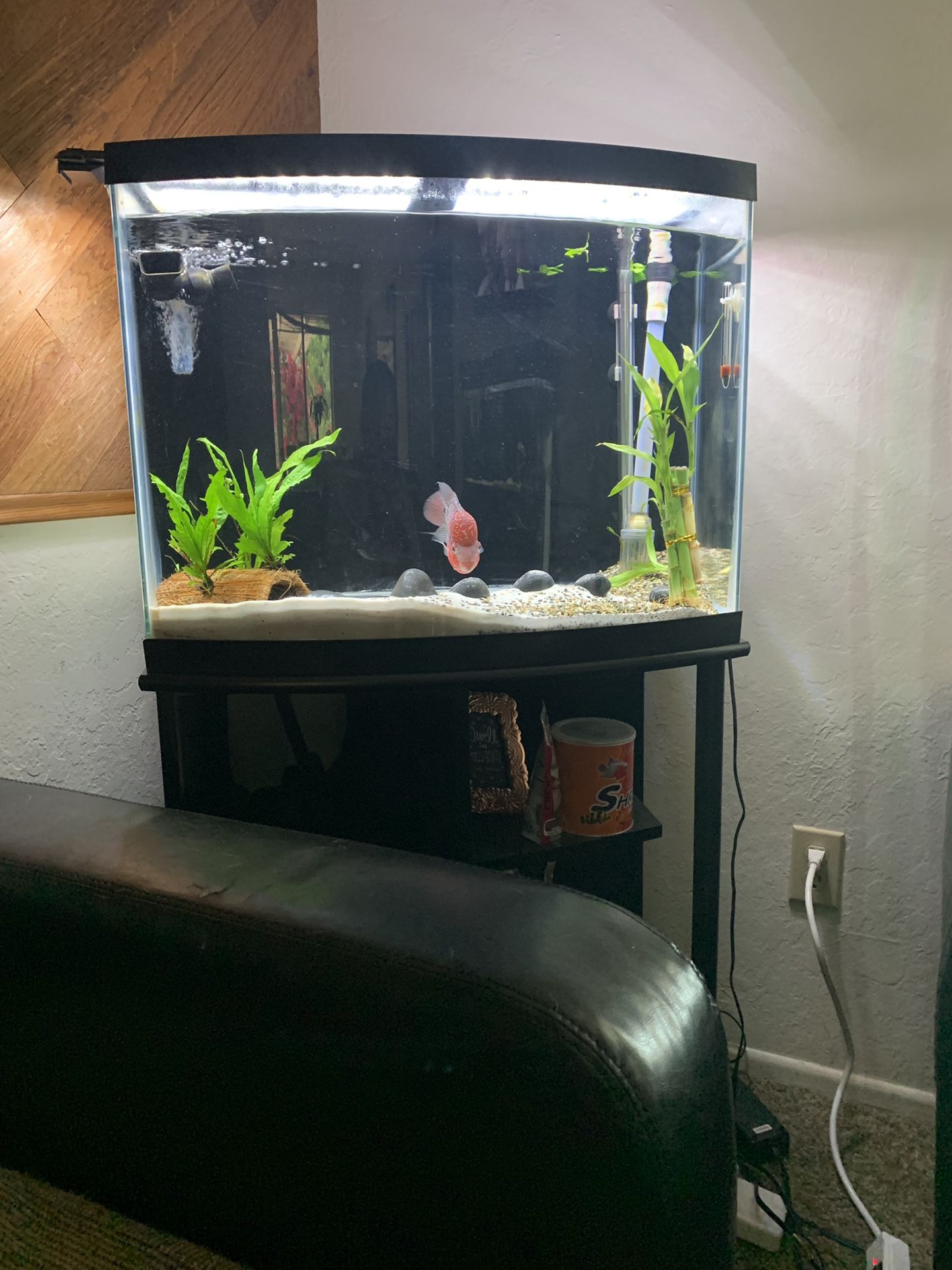 30 Gallon Bow Front Aquarium W/ Stand for Sale in San Diego, CA - OfferUp