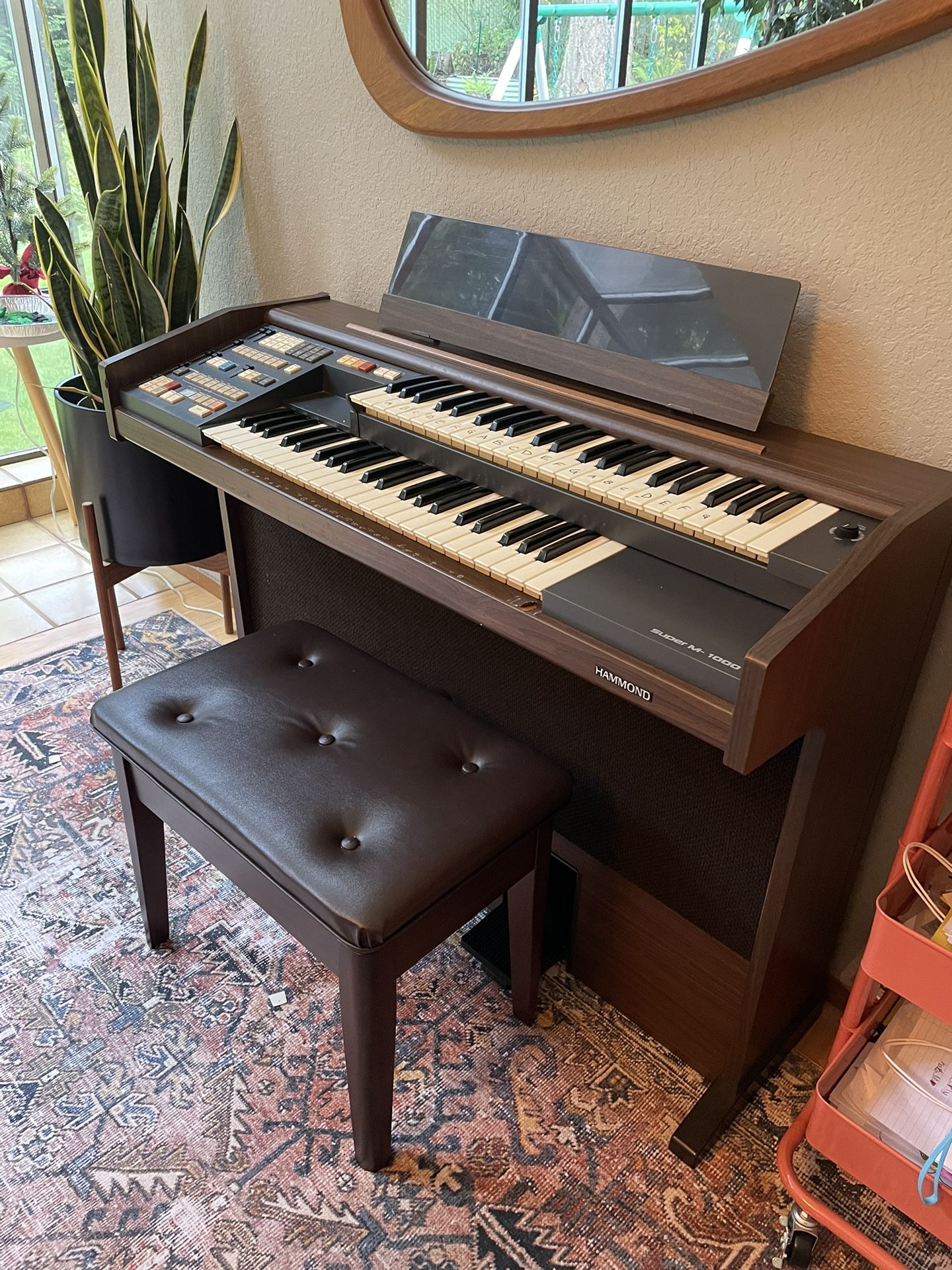 Free Electric Small Organ for Sale in Federal Way, WA - OfferUp
