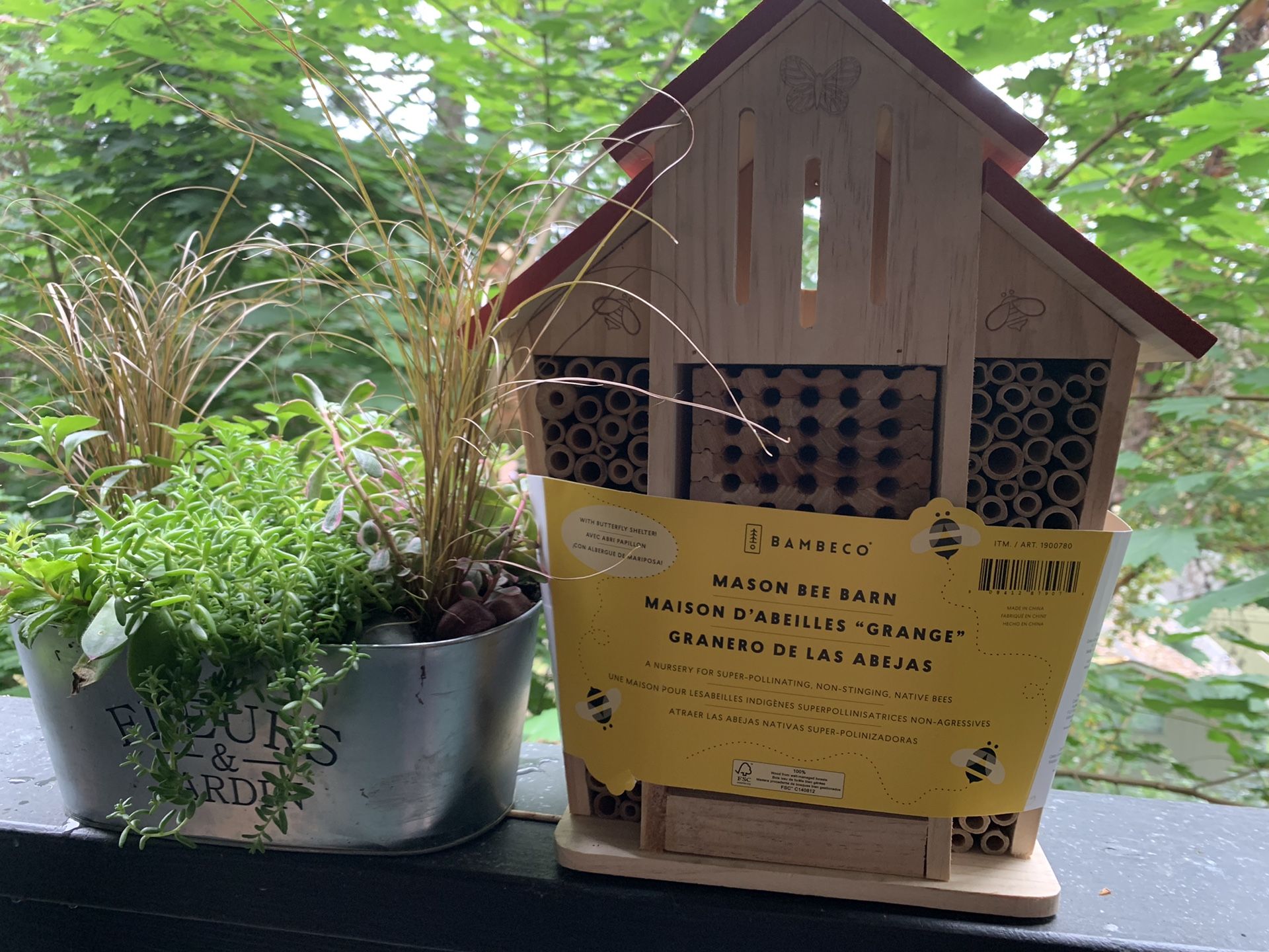Bambeco Mason Bee Barn with butterfly shelter for Sale in Tacoma, WA ...