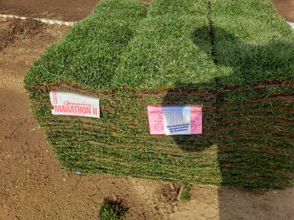 Marathon Sod / Grass For Sale (Cut To Order) for Sale in Ontario, CA ...