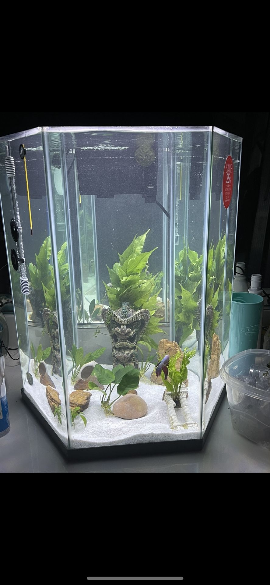 20 Gallon Hexagon Fish Tank for Sale in Las Vegas, NV - OfferUp
