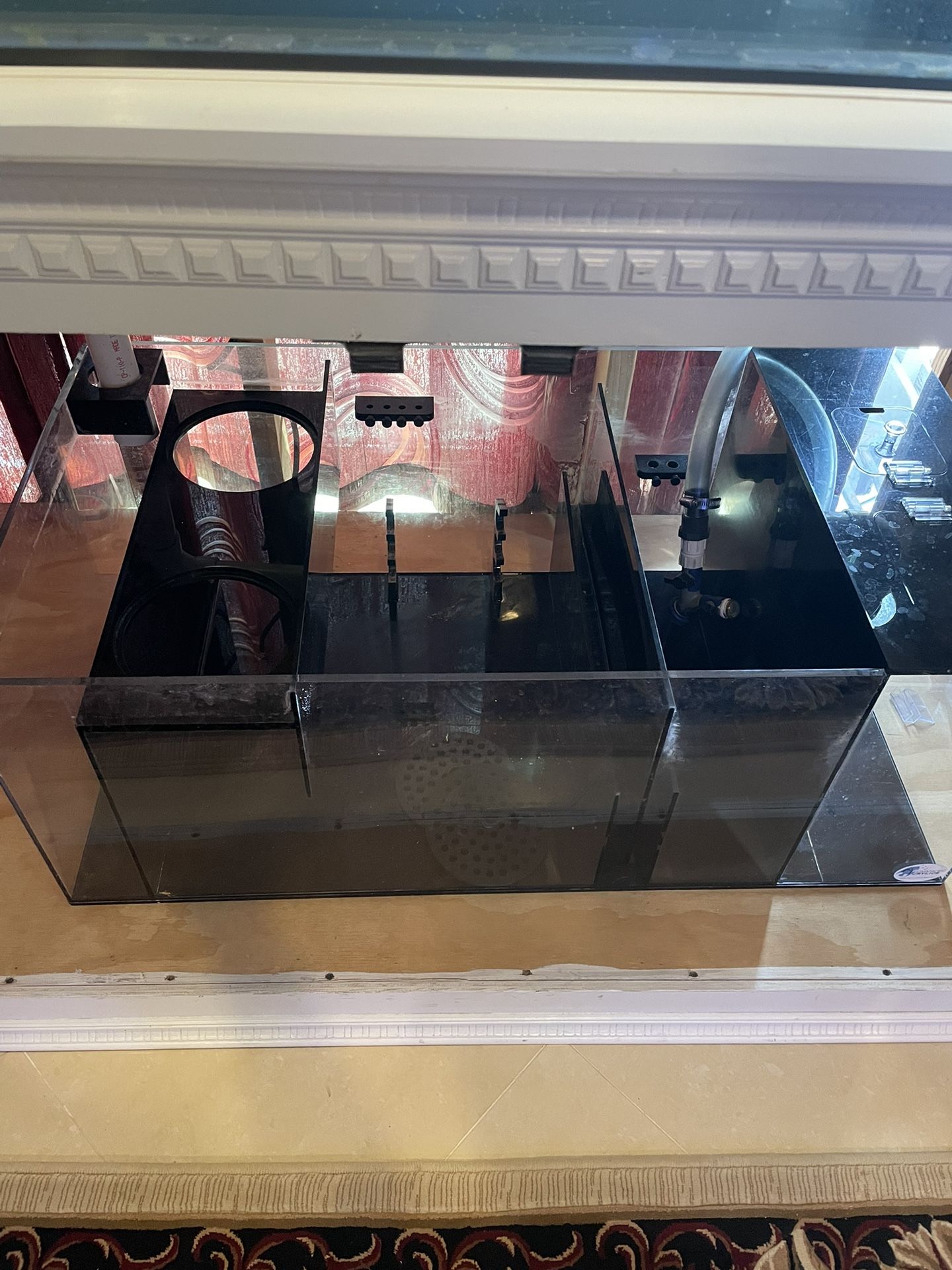 Custom Crystal Dynamic Rimless Tank for Sale in Westminster, CA - OfferUp