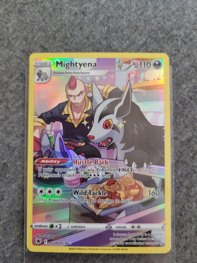 Mightyena Evolution Chart