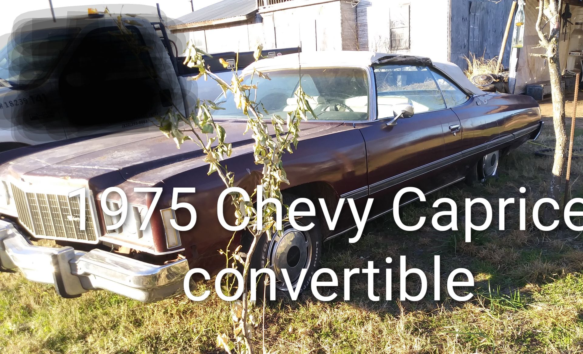 1975 Chevrolet Caprice for Sale in Floresville, TX - OfferUp