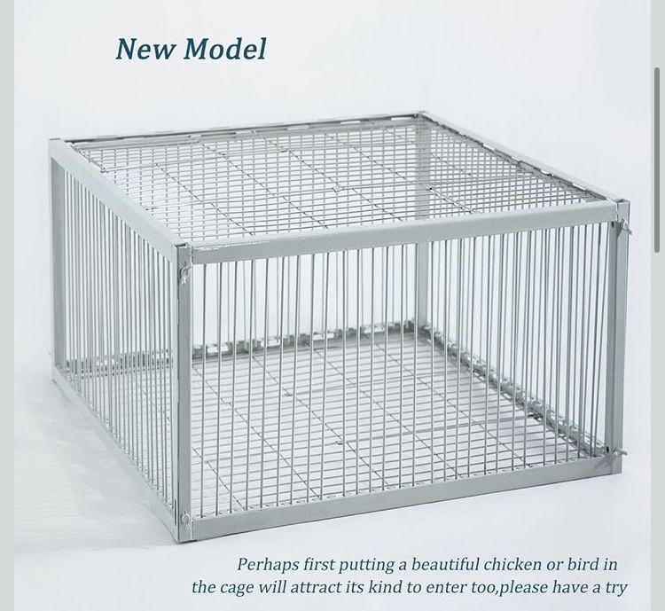 Chicken Trap with Escape-Proof Design, Birds Trap with One-Way Entry ...