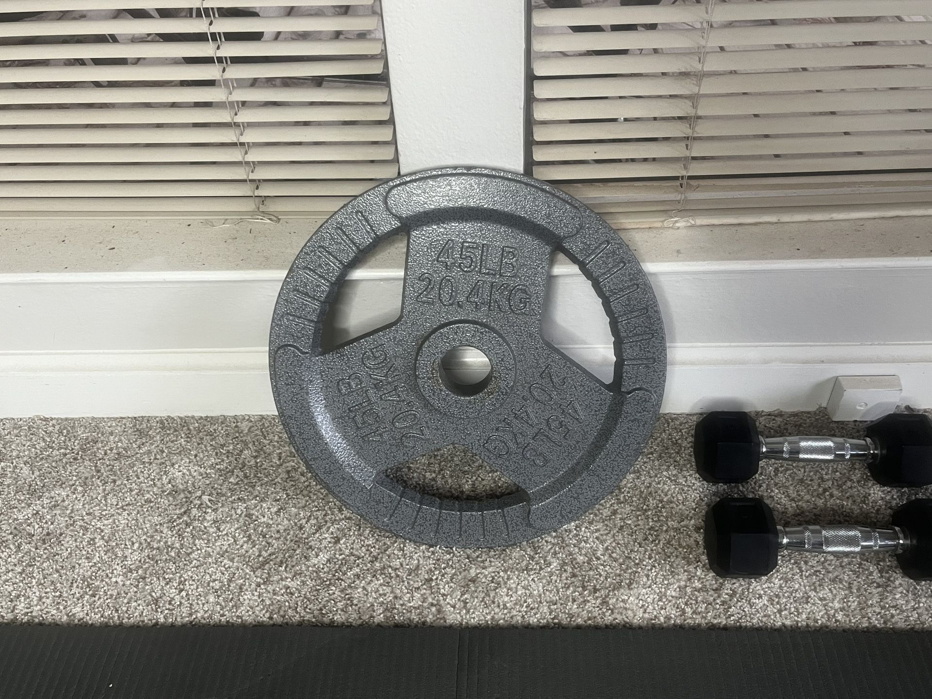 45lbs Plate for Sale in Sacramento, CA - OfferUp