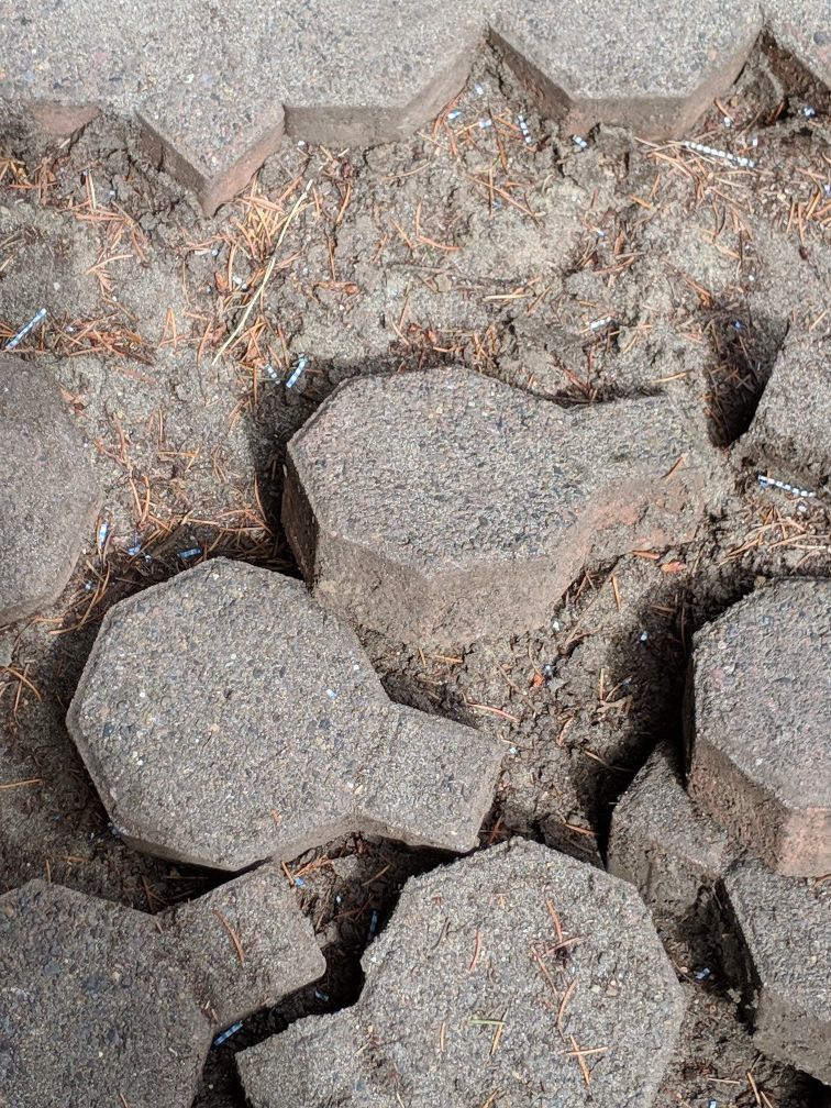 Concrete Paver Old Town Blend Decorastone $.50ea. OBO for Sale in ...