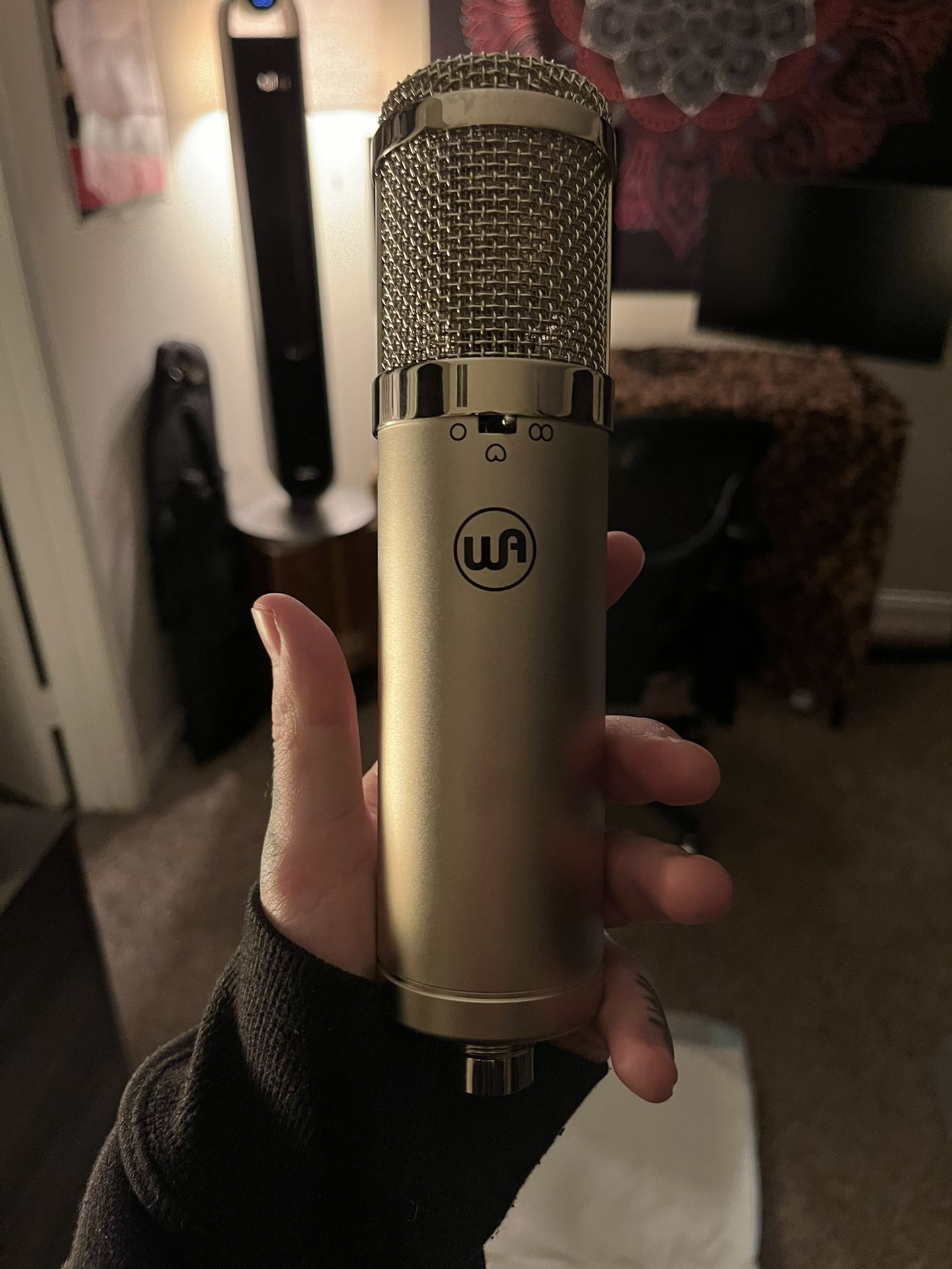 Warm Audio WA-47jr Large Diaphragm Multipattern FET Condenser ...