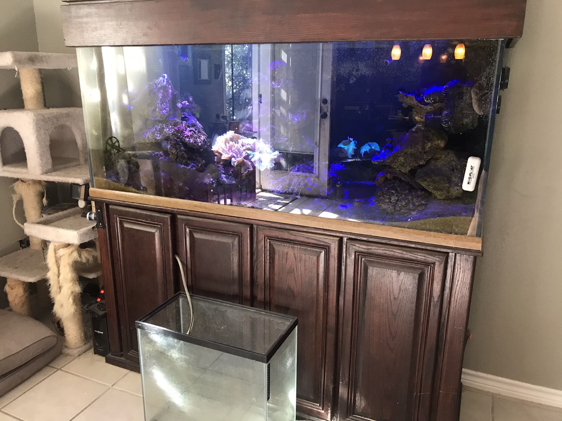 120 gallon fish tank & complete set up for Sale in Seagoville, TX - OfferUp